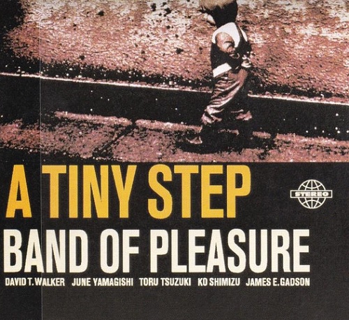 1995 Band Of Pleasure – A Tiny Step | Sessiondays